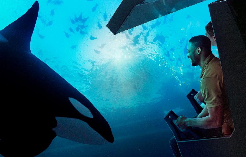 All rides of Seaworld Orlando - Themeparkplanner