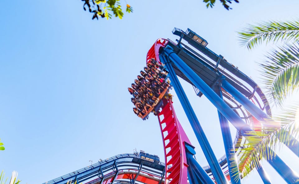 All rides of Bush Gardens Tampa Bay - Themeparkplanner